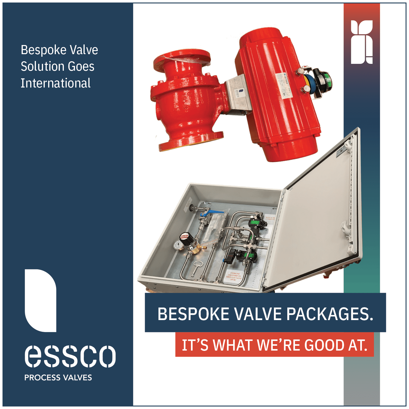 Bespoke valve goes international | Essco Process Valves