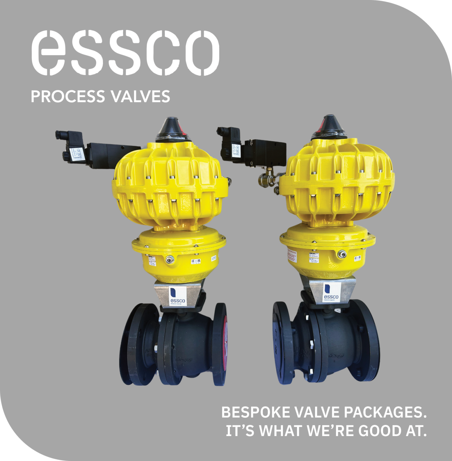 Industrial Valves Supplied for Brewery in Dublin - Essco