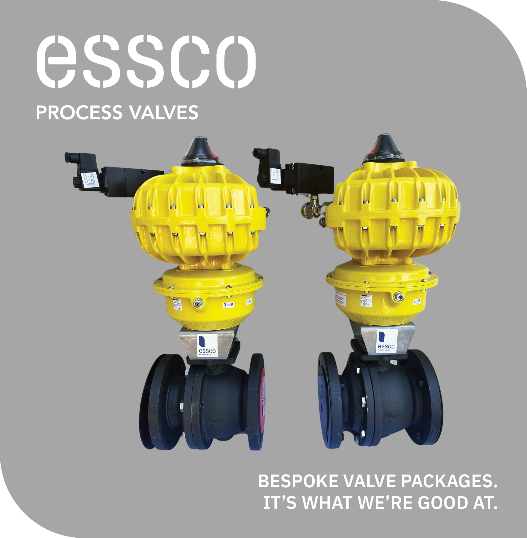 Industrial Valves Supplied for Brewery in Dublin - Essco